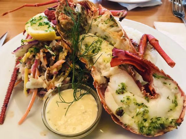 2024凯库拉观鲸游船门票,凯库拉凯库拉观鲸游船游玩攻略,凯库拉观鲸游船游览攻略路线/地址/门票价格-【去哪儿攻略】