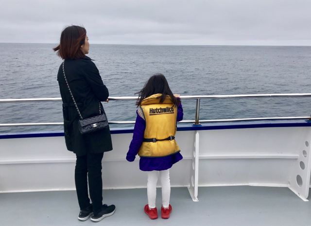 2024凯库拉观鲸游船门票,凯库拉凯库拉观鲸游船游玩攻略,凯库拉观鲸游船游览攻略路线/地址/门票价格-【去哪儿攻略】